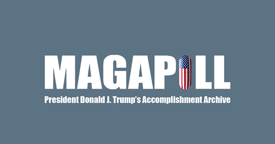 President Trump: Year 3 | Ellis Washington Report